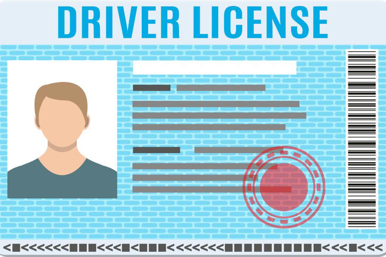 RV Licensing Requirements: Everything You Need to Know by State