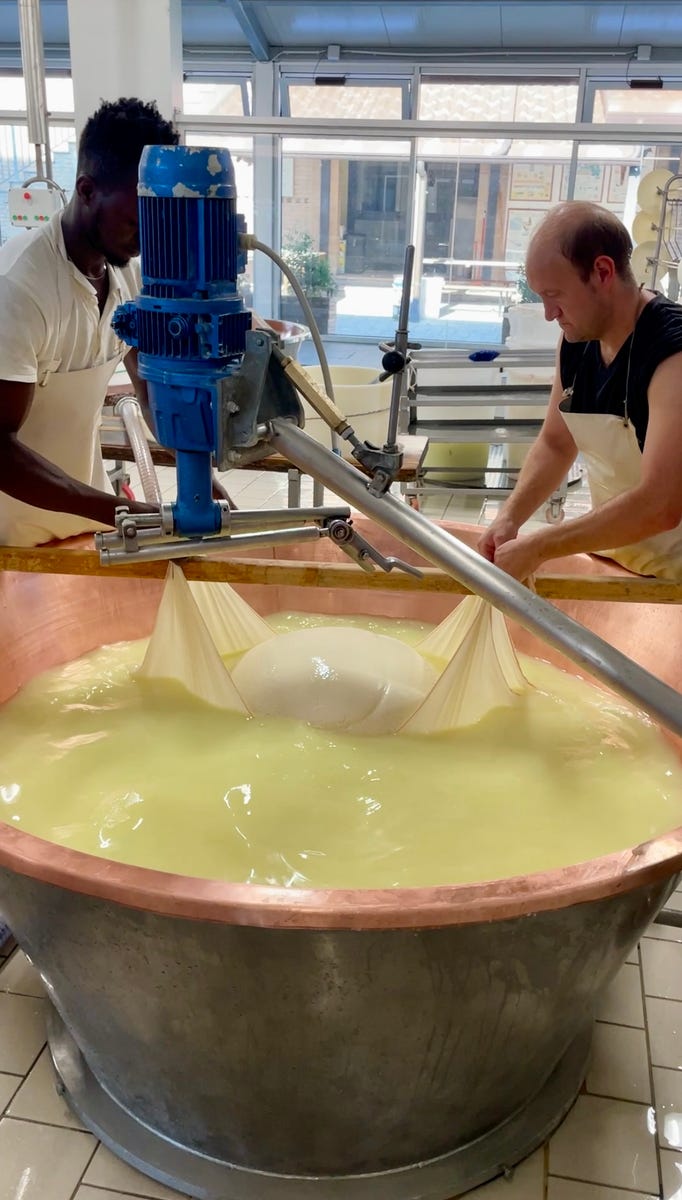 Are You Buying Fake Parmesan Cheese? How to Spot the Real Deal