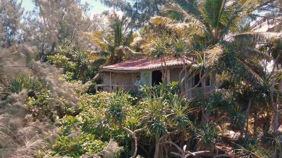 We Rode the Endless Wave 🌊