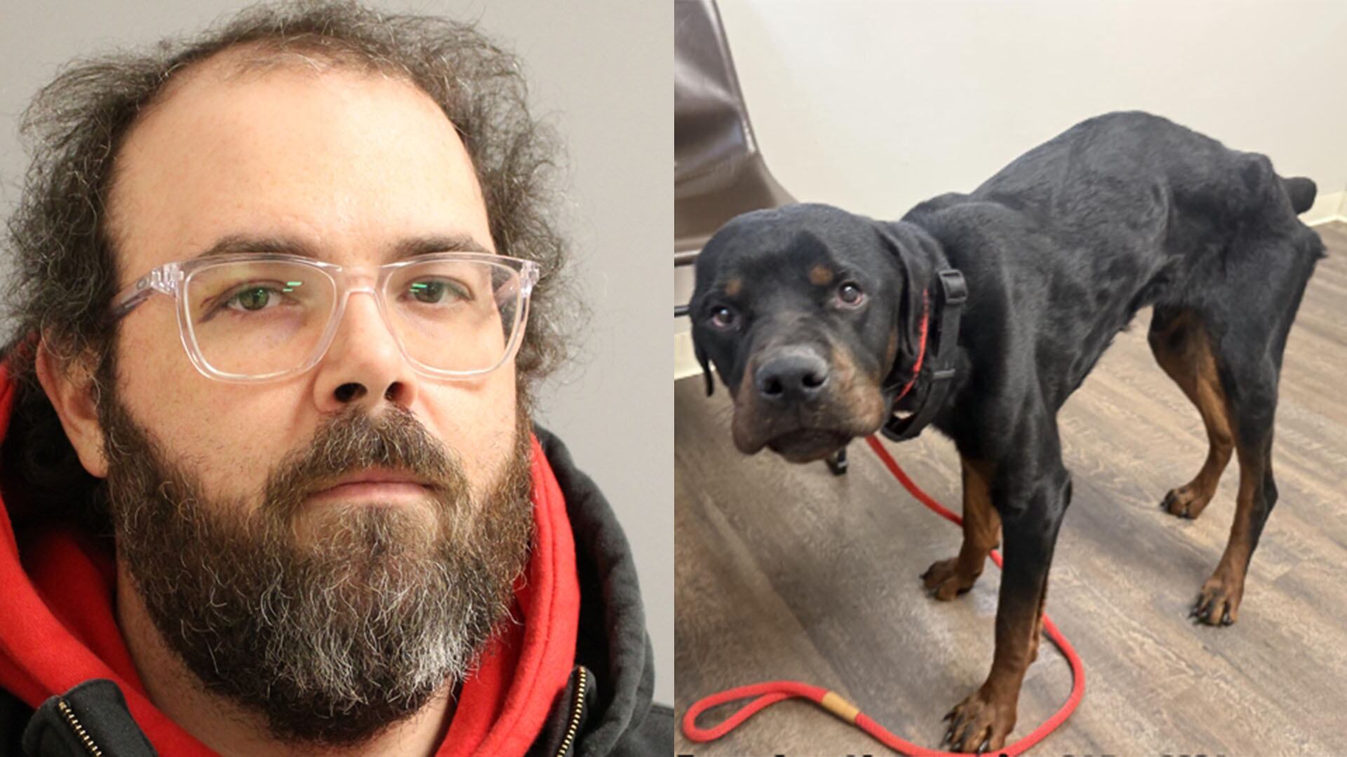 Police arrest Vt. man for cruelty in dog neglect case