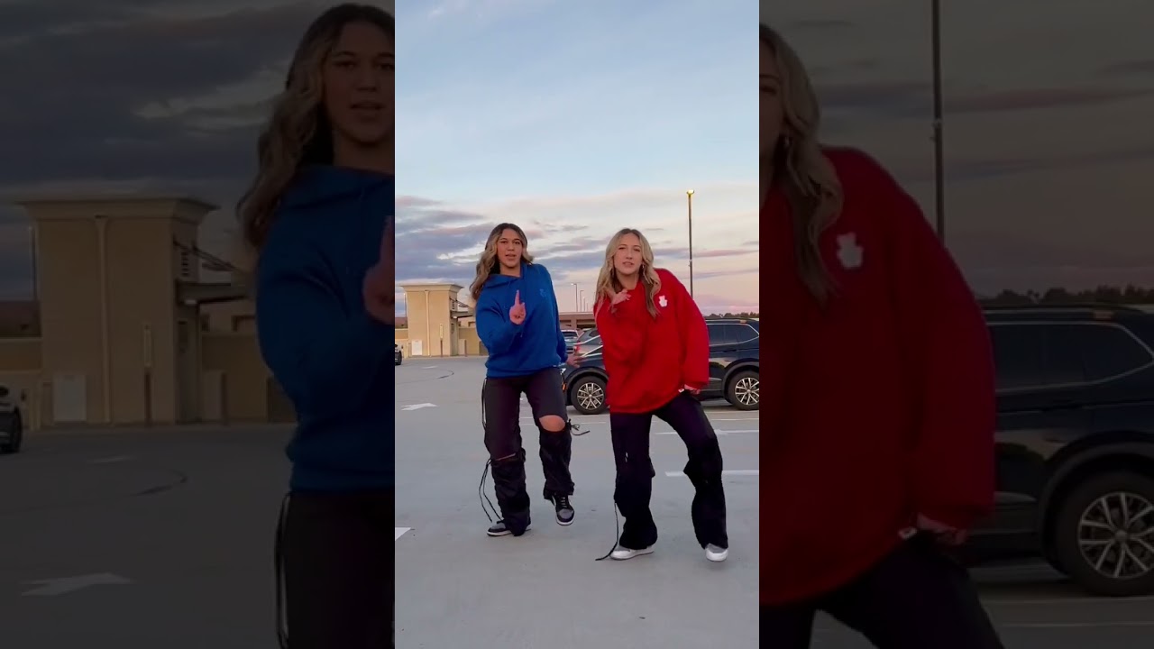 Trending Dance Challenge by Gymnasts