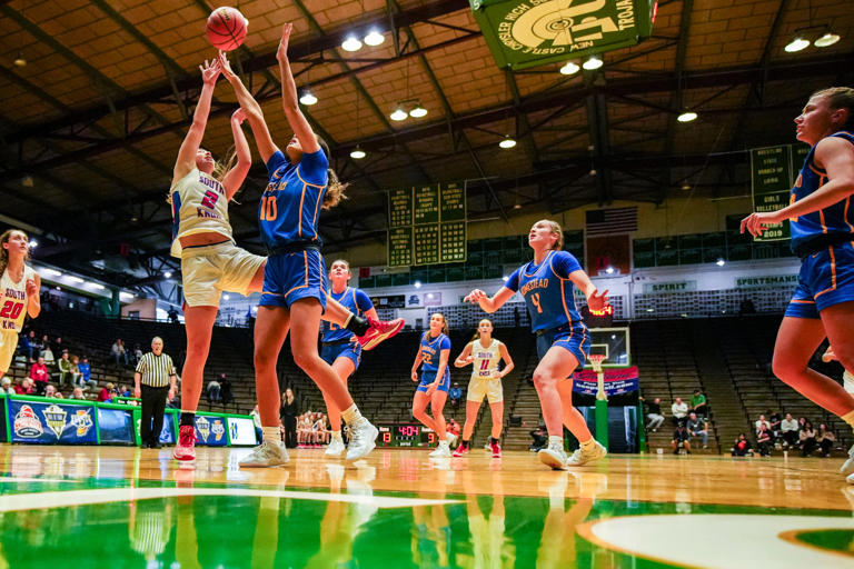 Shots, blocks & boards: Vote for IndyStar girls basketball players of ...