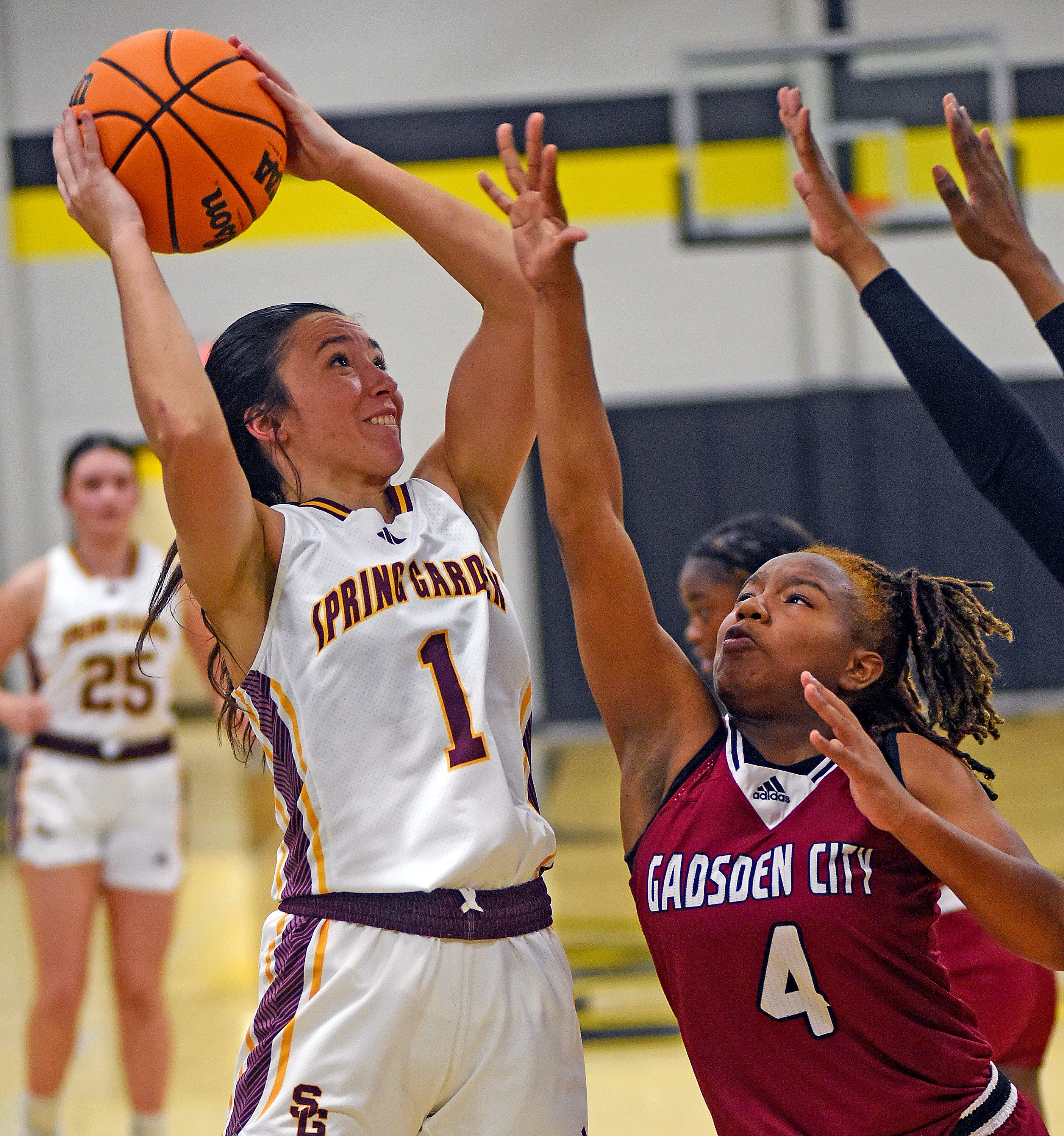 Spring Garden's Ace Austin headlines rosters for the Alabama ...