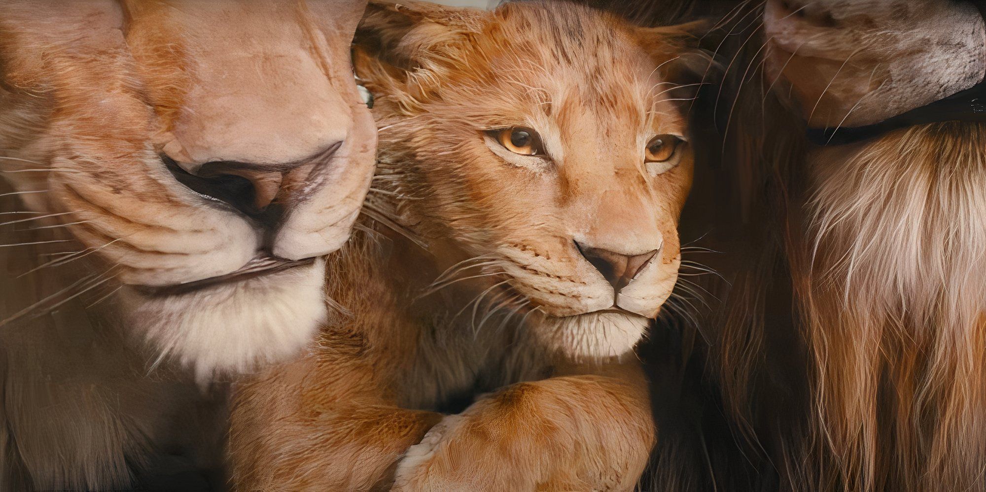 Disney’s Follow-Up Movie To The Lion King’s 2019 Live-Action Remake Is ...