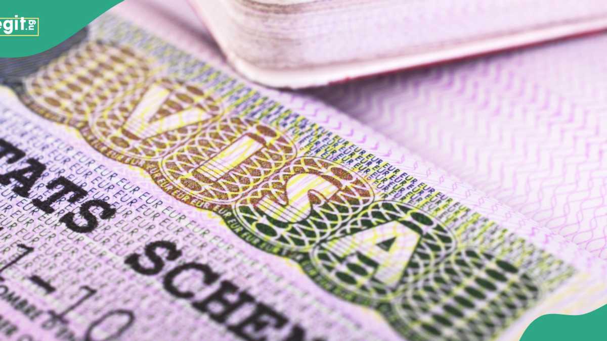 Details emerge as more than a third of this country applies for visas ...