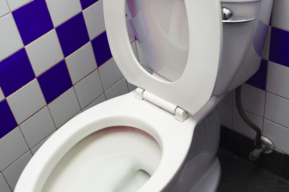 How Often Should You Really Poop? A Gastroenterologist Reveals the ...