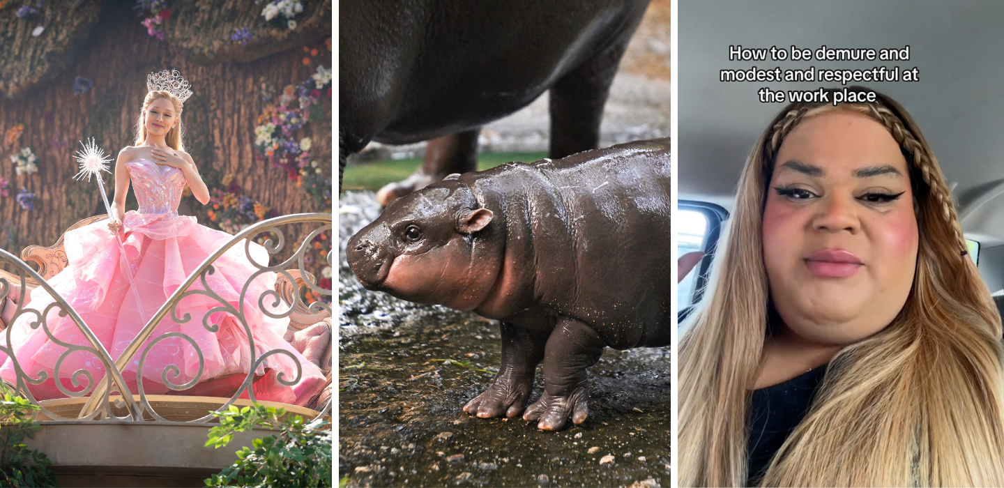 'Who TF Did I Marry,' brat summer and Moo Deng: The demure social media ...