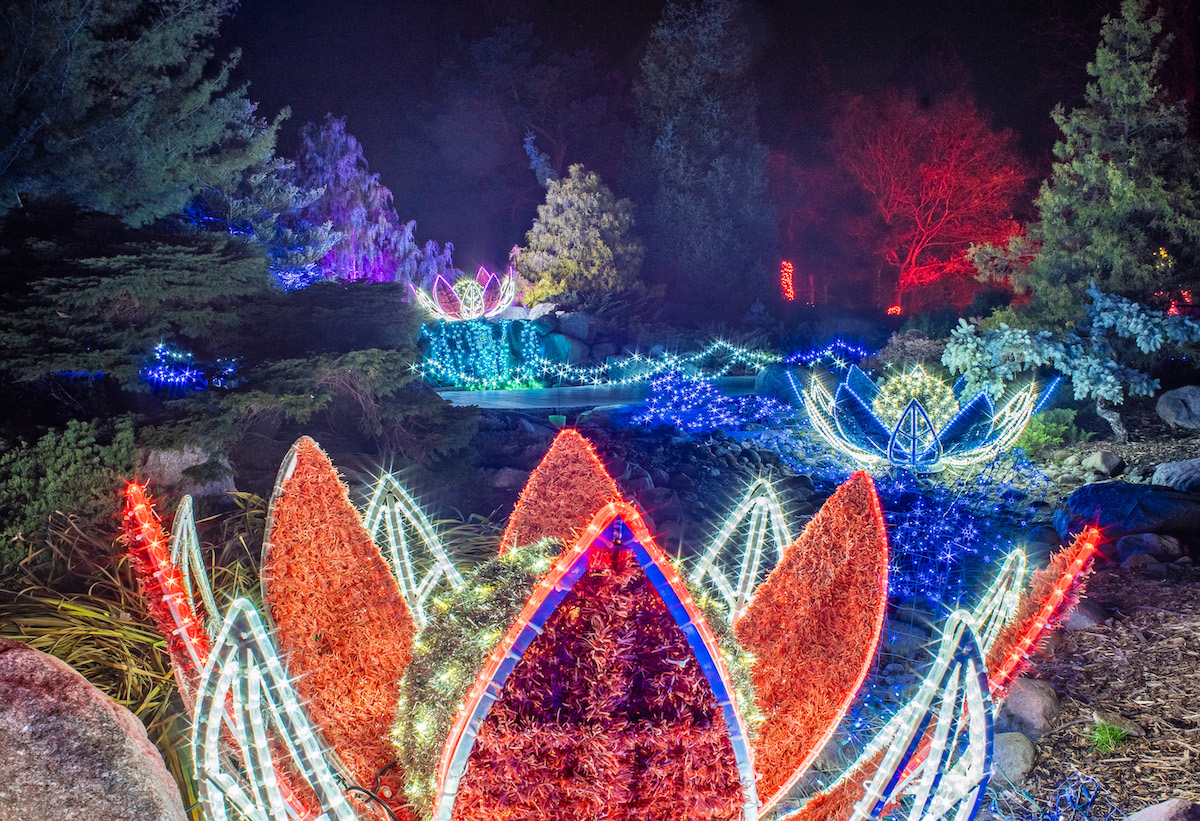 Winter Lights at Minnesota Landscape Arboretum