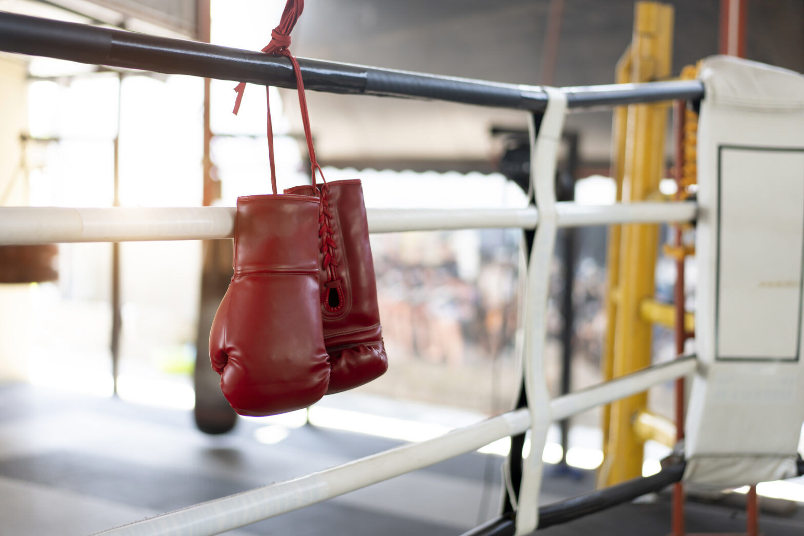 Boxer Paul Bamba Dies At 35, Just Days After Winning World Title And ... Boxer Paul Bamba Dies At 35, Just Days After Winning World Title And ...