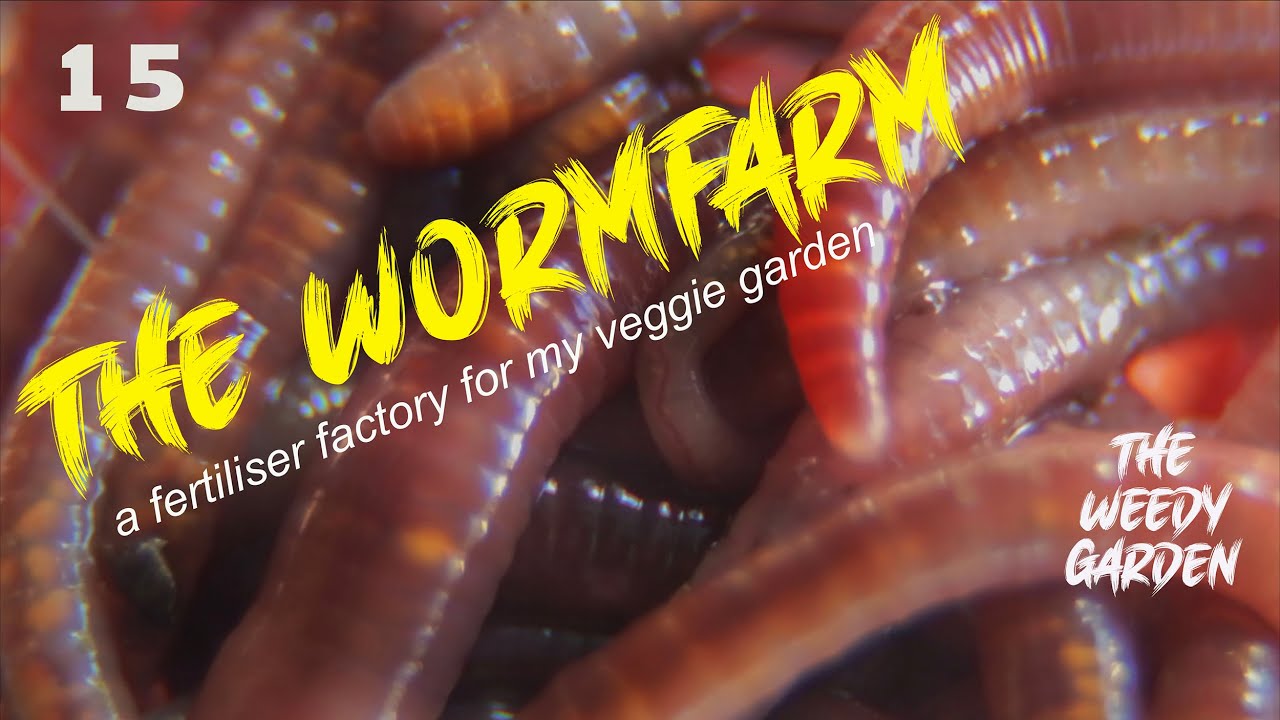TIPS FOR THE WORM FARM