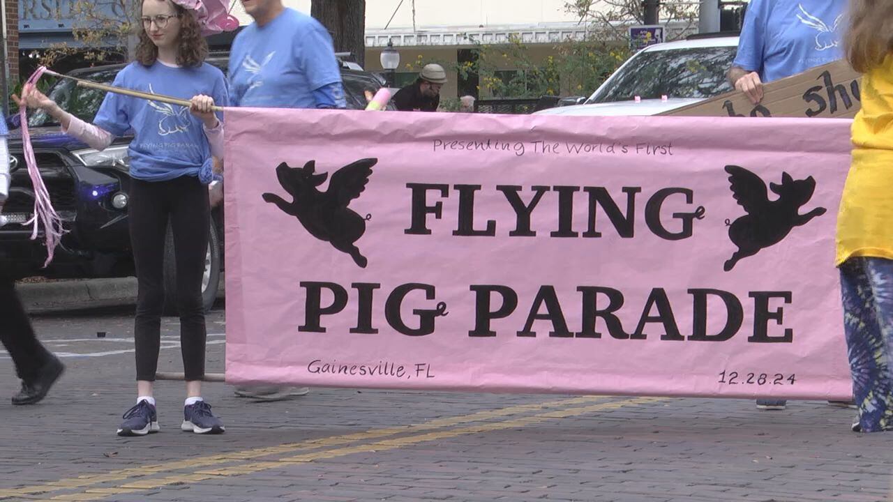 The second annual Flying Pig Parade held in downtown Gainesville