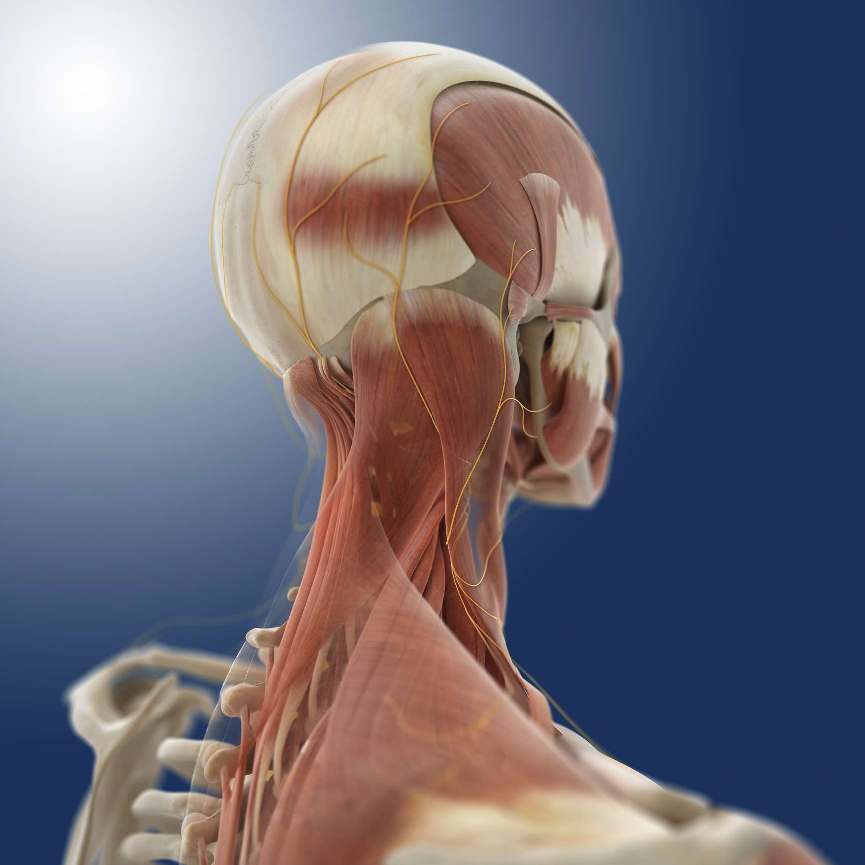 What Is Rheumatoid Arthritis in the Neck?