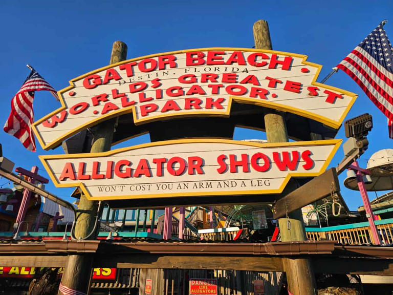 Gator Beach - The World's Greatest Alligator Park