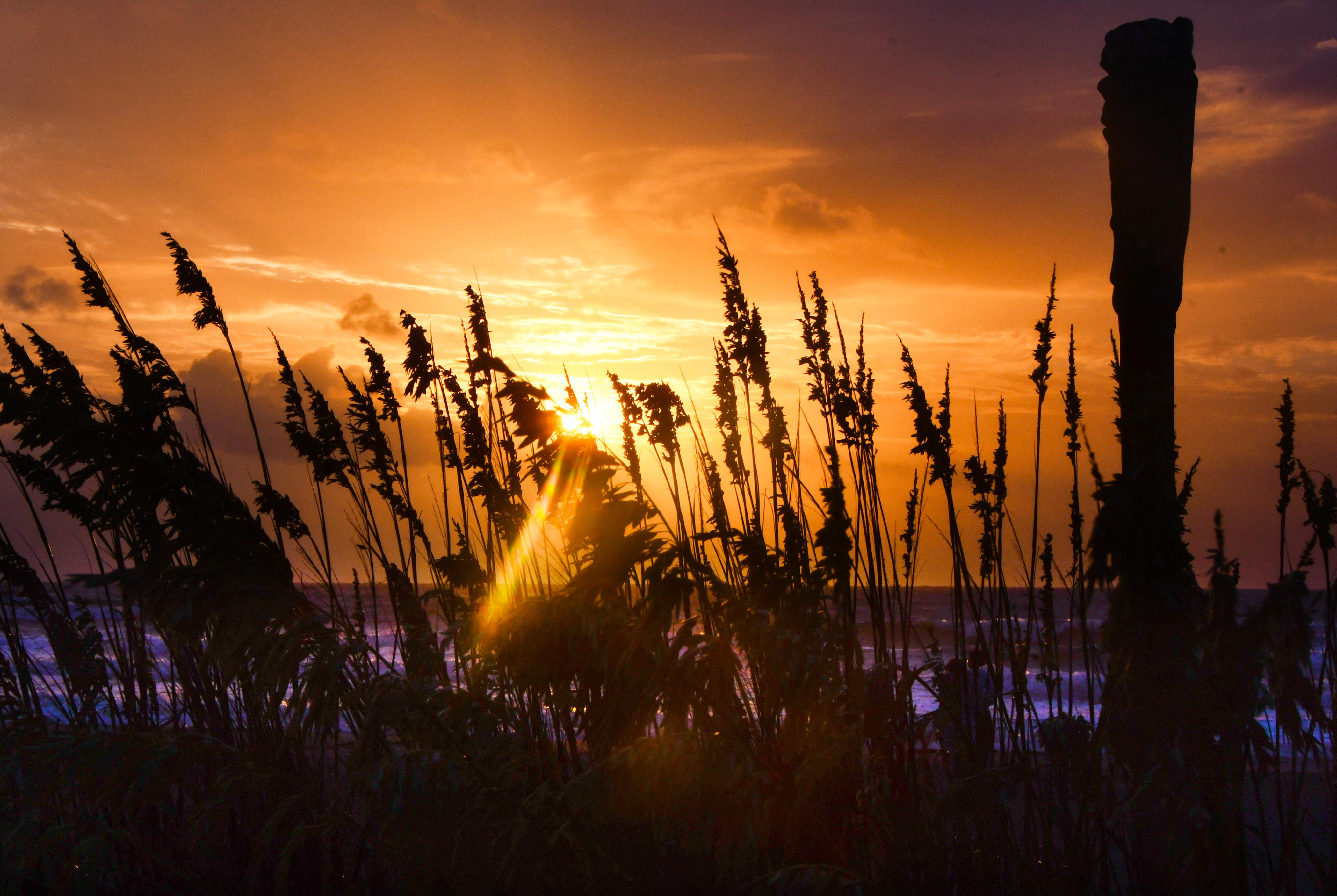 When is the summer solstice 2025? What to know about the longest day of ...