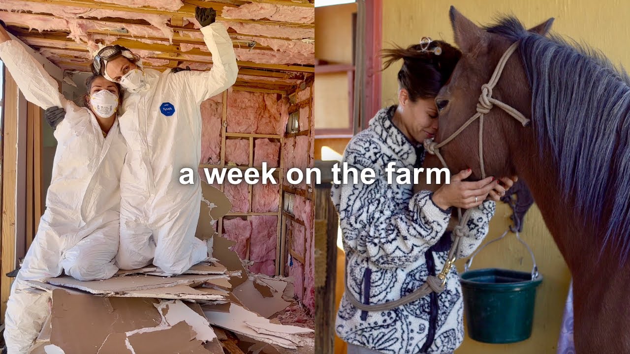 A week on the farm | grit, growth & golden sunsets 🌵