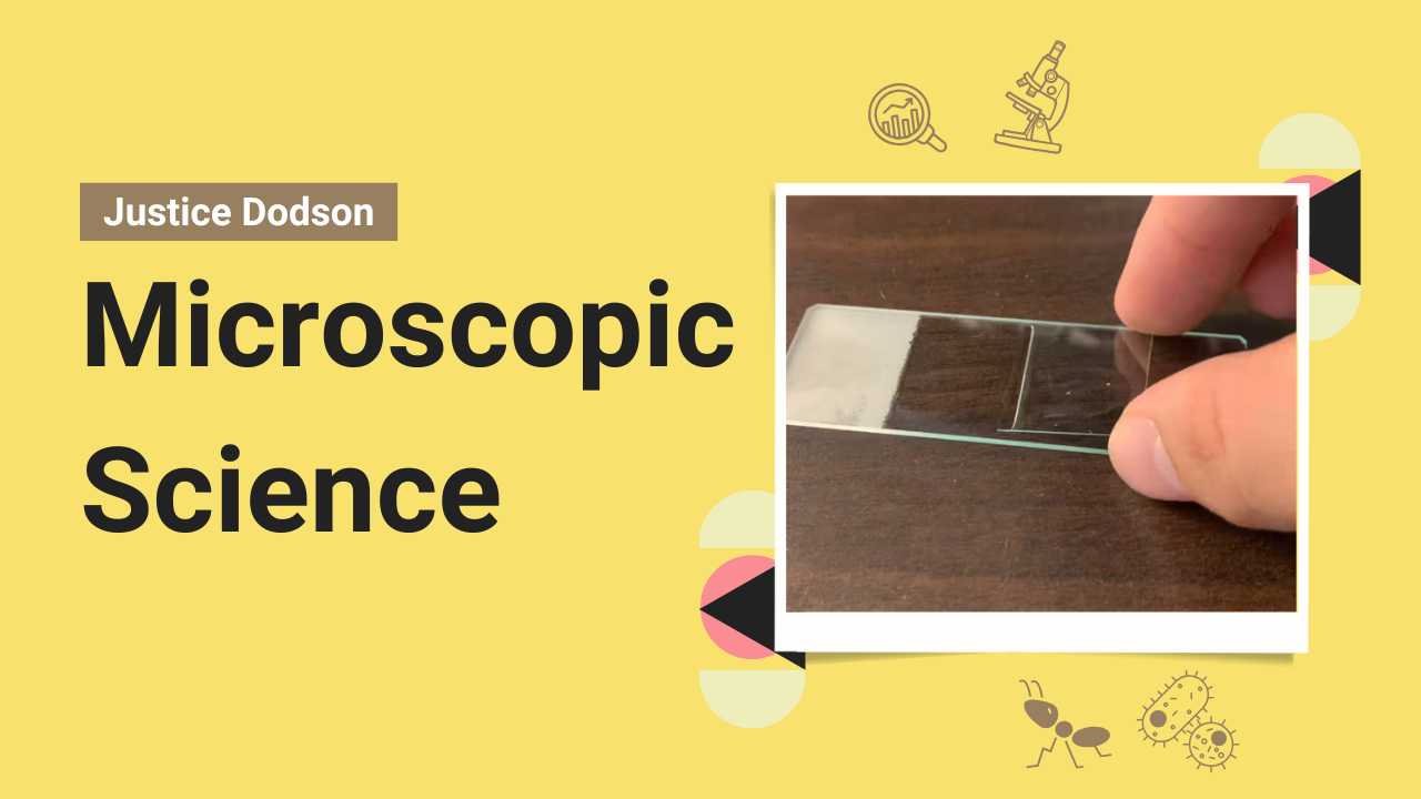 Microscopic Science Breakdown