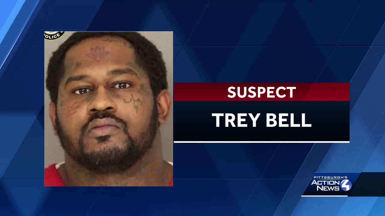 Allegheny County police apprehend alleged suspect in Crafton armed robbery Allegheny County police apprehend alleged suspect in Crafton armed robbery