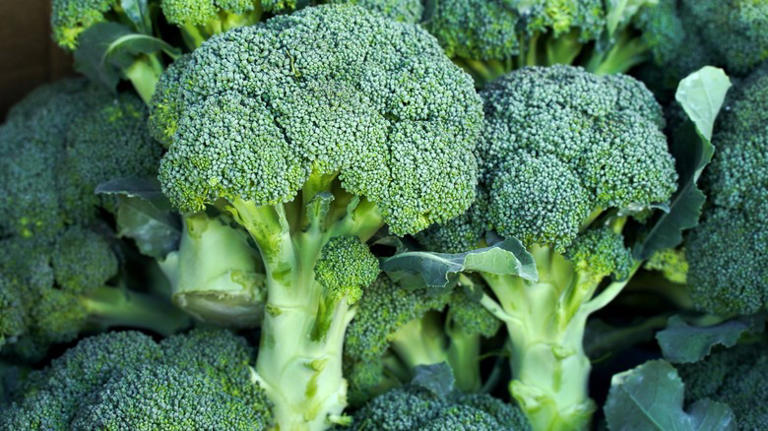 How To Choose The Best Broccoli At The Grocery Store, Every Time