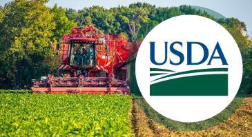 $300 Million Lifeline Handed to Farmers Struggling to Stay Afloat—USDA ...
