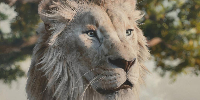 Why Aren't Any White Lions In The Lion King?