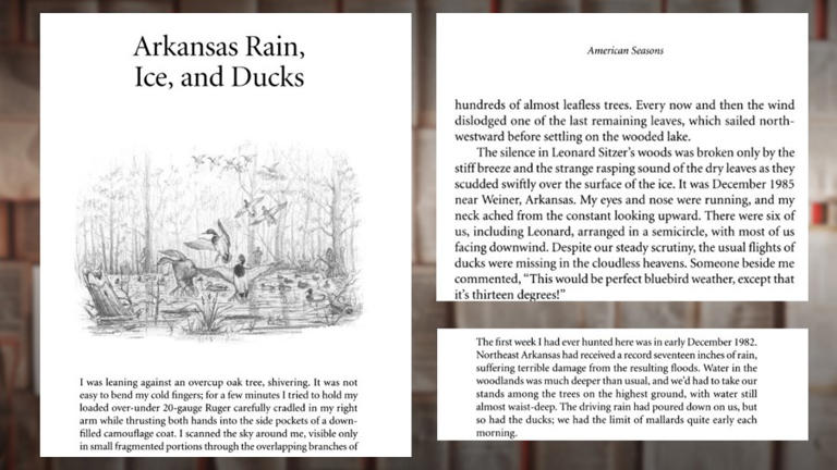 Duck hunting & campaigning: Former President Jimmy Carter’s connections ...