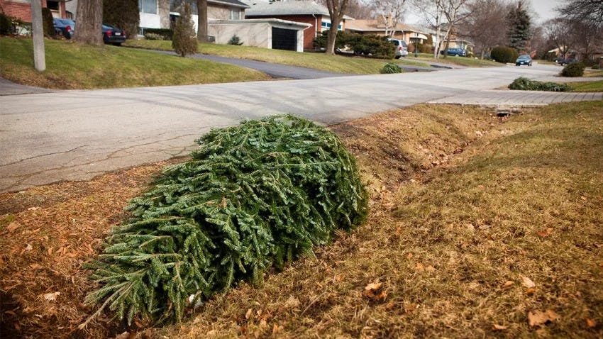 Here's how Evansville, Henderson city residents can dispose of their ...