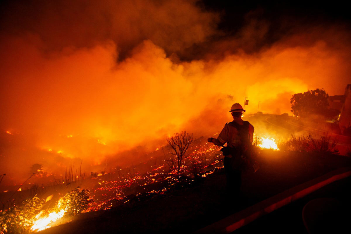 Decade of deadly heat ends with record year as world warned of ‘road to ... Decade of deadly heat ends with record year as world warned of ‘road to ...
