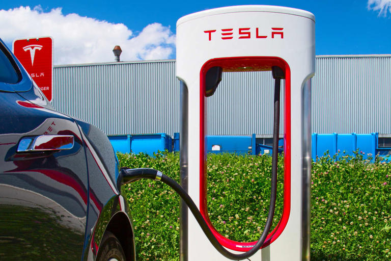 Tesla Faces Calls to Delay Robotaxi Launch. Why the Stock Has a Bigger ...