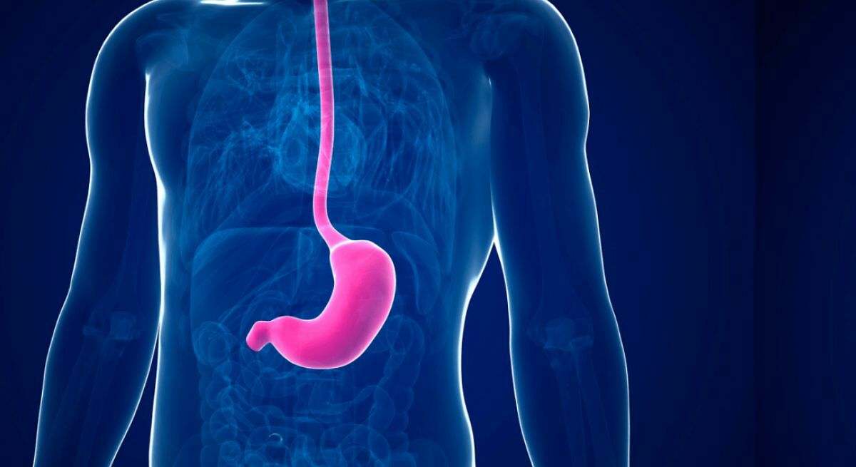 Qué hay que hacer para limpiar el estómago: siete remedios caseros para ...