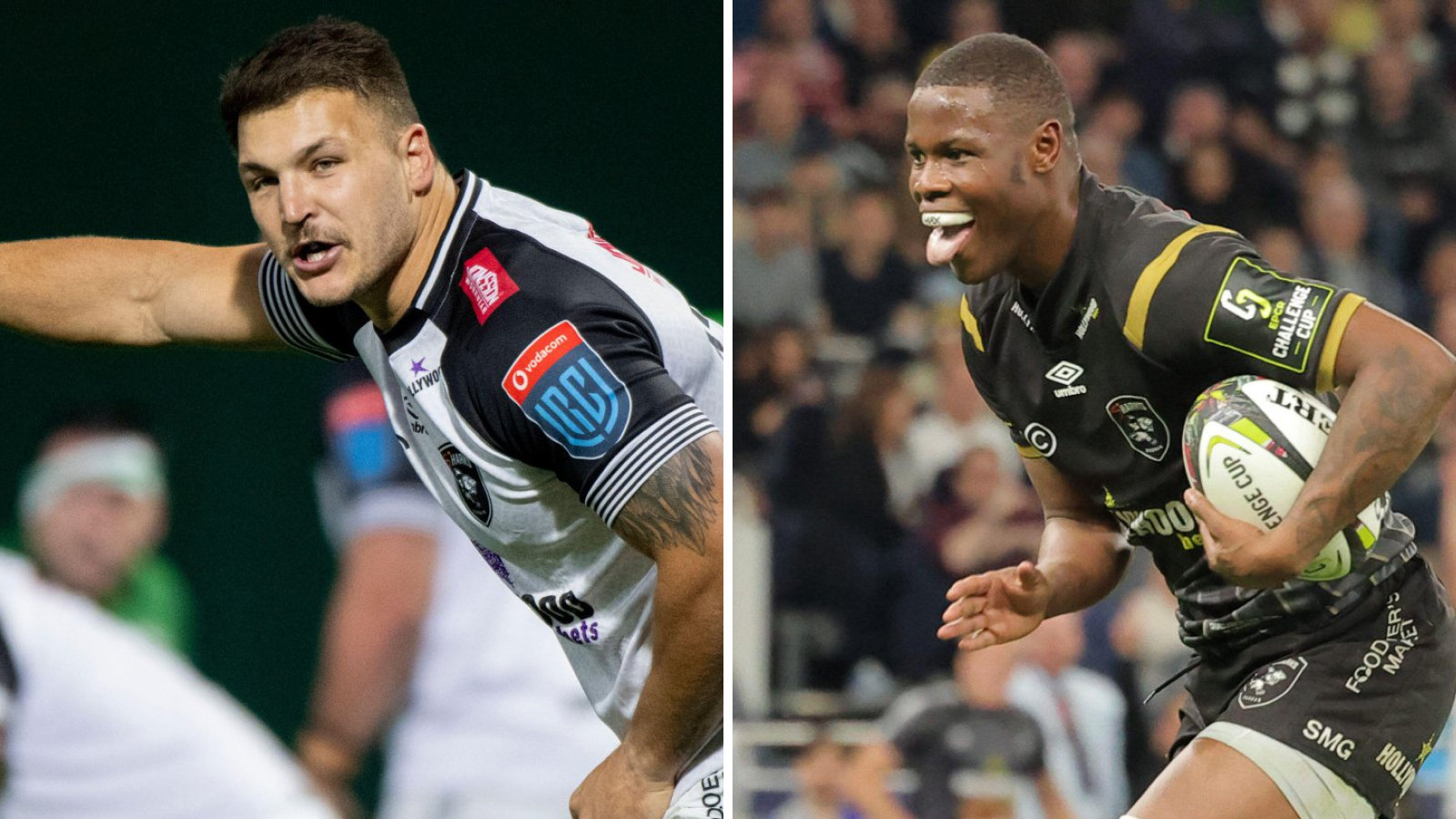 Springboks duo under injury cloud ahead of Sharks’ Champions Cup clash ...