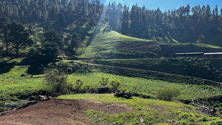 Penn State vs. Boise State score prediction by expert football model