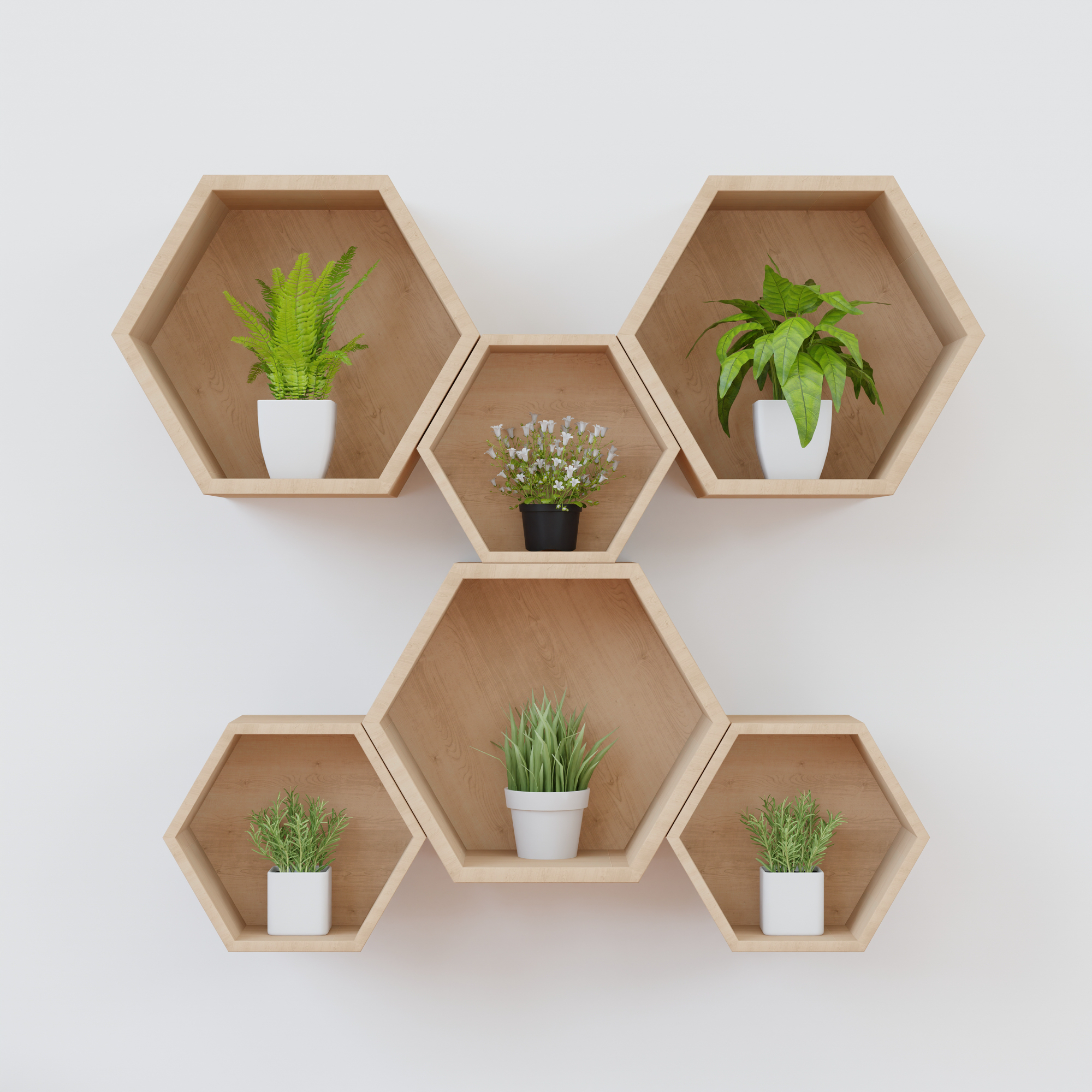 18 houseplant display hacks that instantly brighten any room