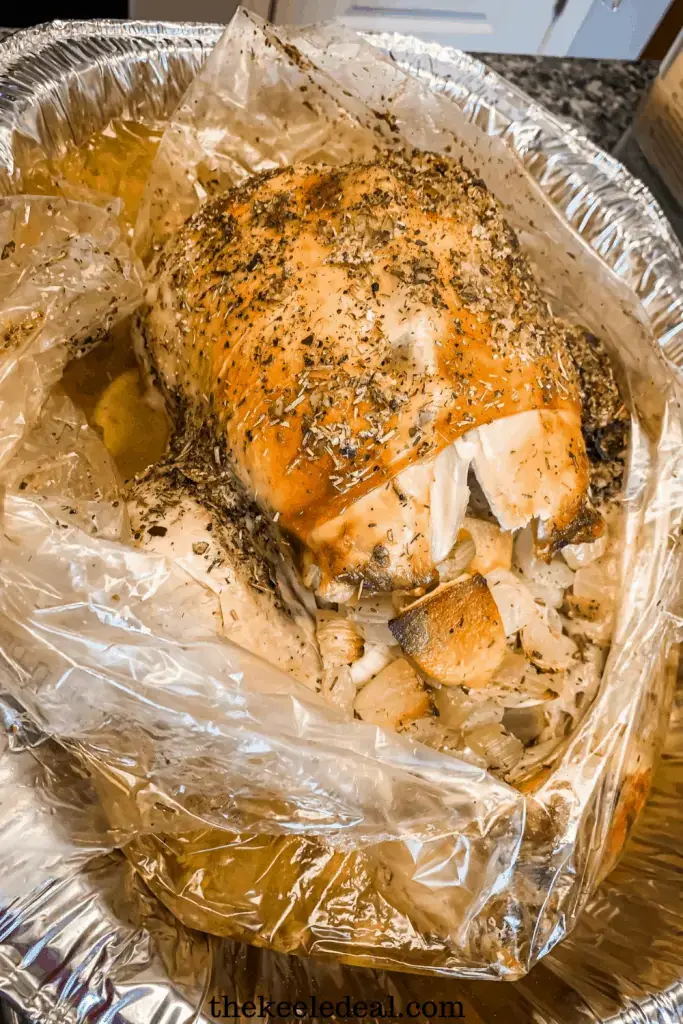 Fun and Wacky Holidays to Celebrate This Year (2025)