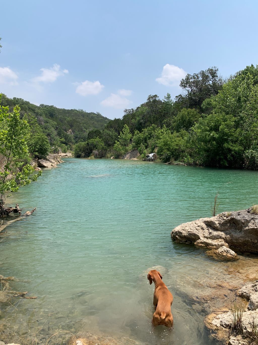 Events & Festivals in Texas Hill Country 2025/2026