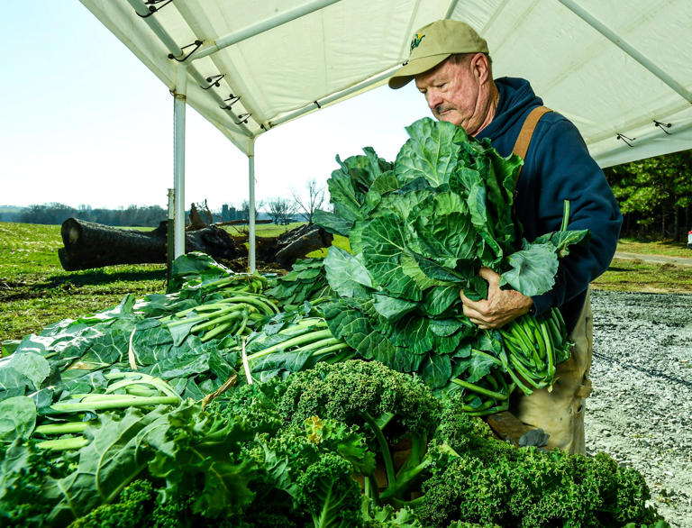 Collards greens take center stage as New Year's Day tradition approaches