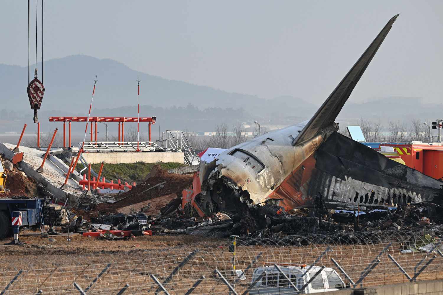 Bird Feathers and Blood Stains Found in Engines of South Korean Plane ...