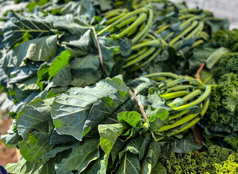 Collards greens take center stage as New Year's Day tradition approaches