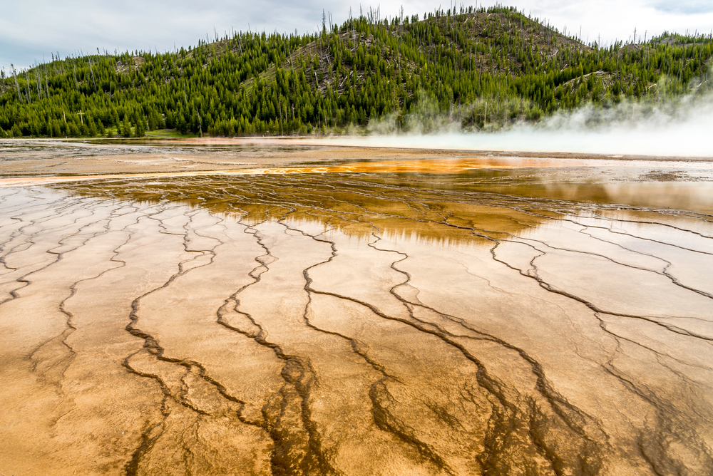 11 Unmissable Signs You're Running Low on Thiamine