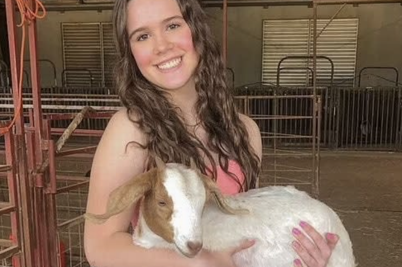 Texas cheerleader 'poisoned classmate's pet goat' and 'filmed ...