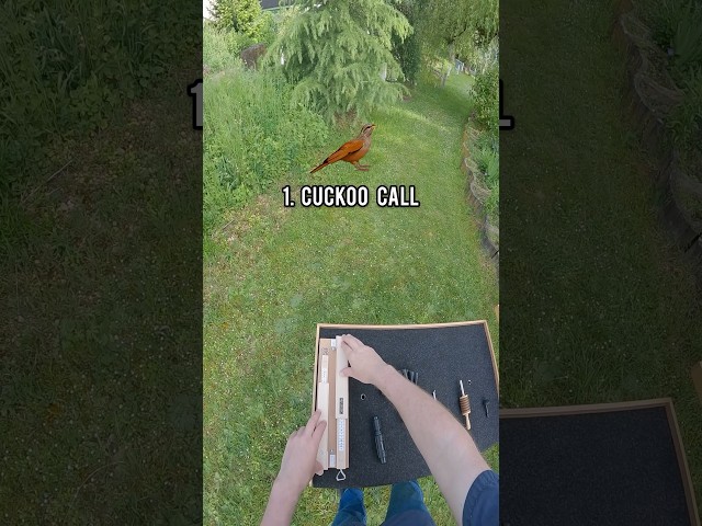 Neat Video Game Music with Cool Instruments!