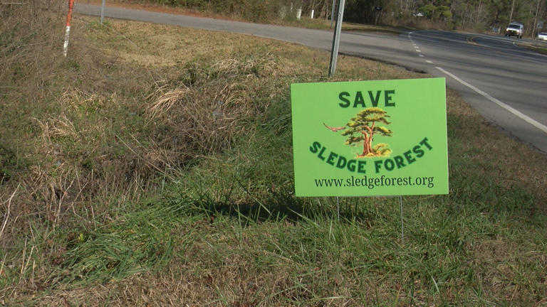 Hilton Bluffs development in Sledge Forest sparks concern among Castle ...