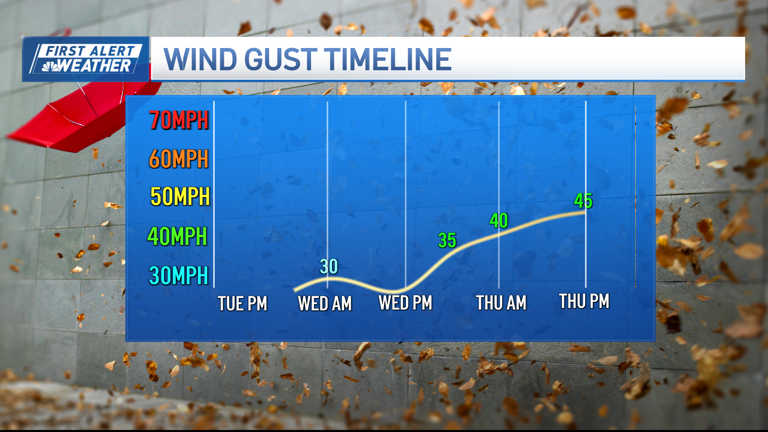 First Night forecast calls for rainy, windy start to 2025