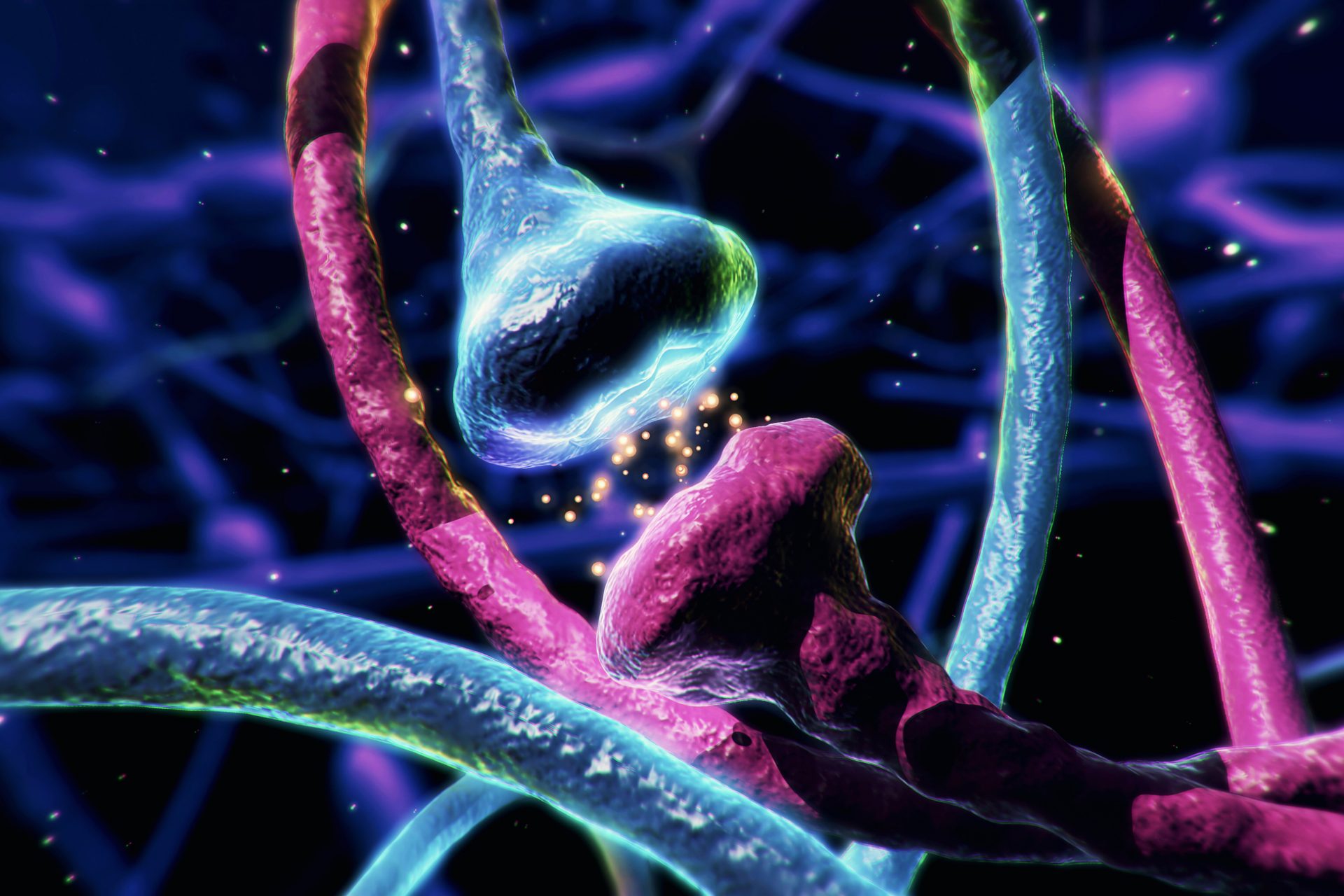 Science has discovered what separates animal intelligence from machines