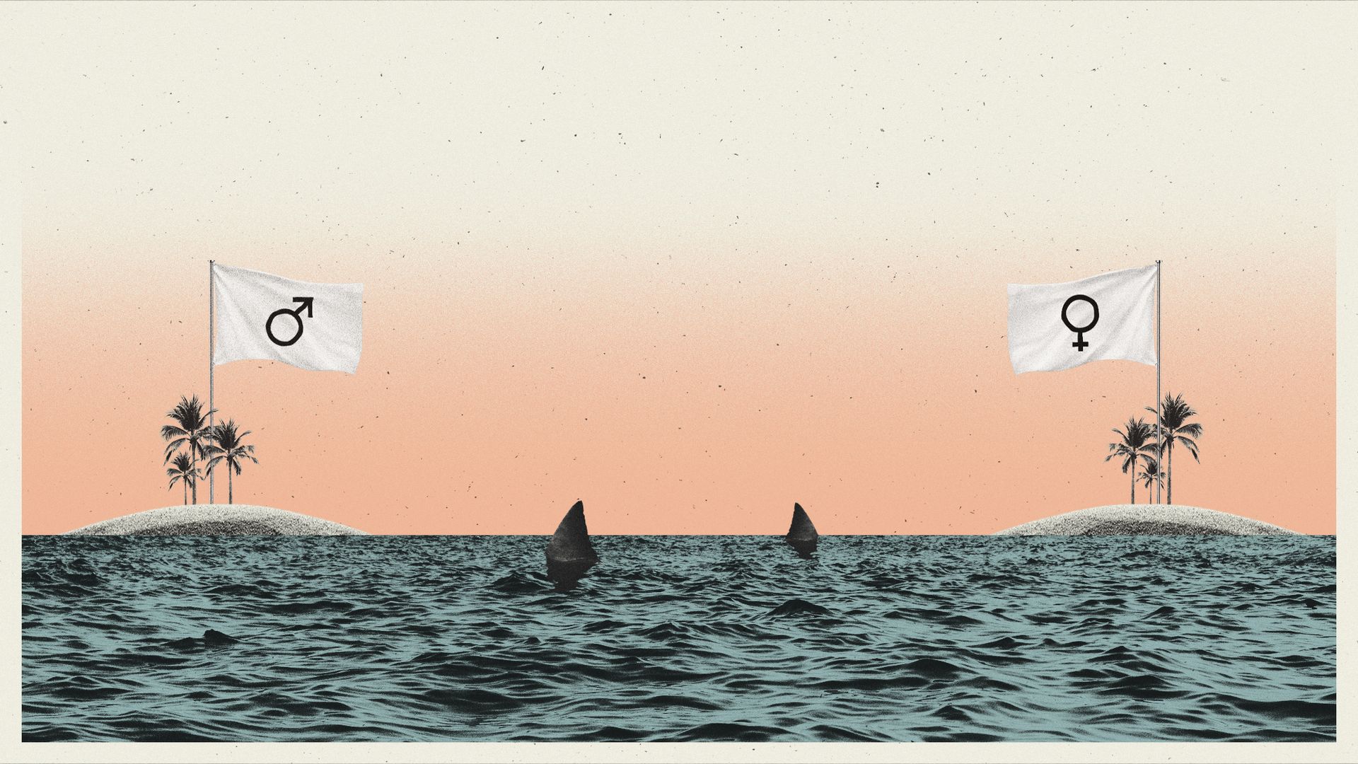 2024: the year of the gender divide