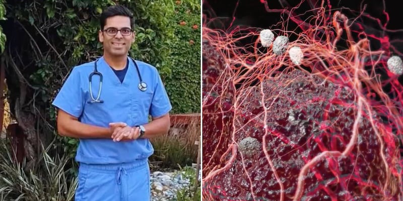 Gastroenterologe gibt Einblick - Diese 5 Lebensmittel isst ein Arzt, um ...