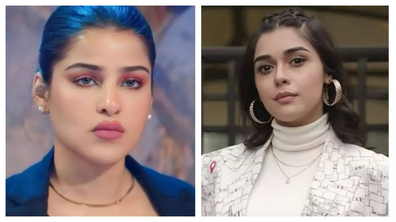 Bigg Boss 18: Edin Rose slams Eisha Singh as she body shames her ...