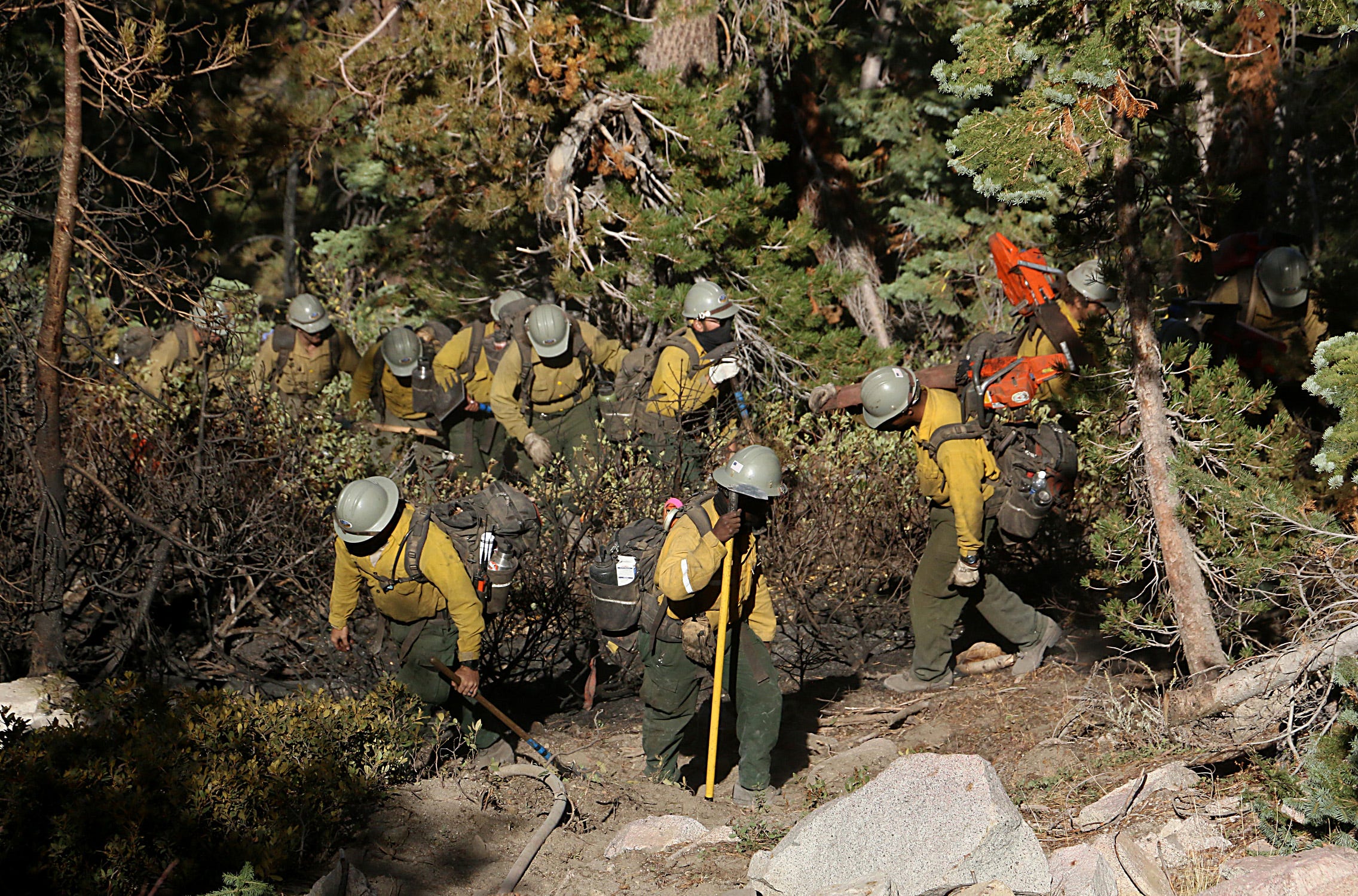 California Senator says Trump hiring freeze affecting federal wildland ...