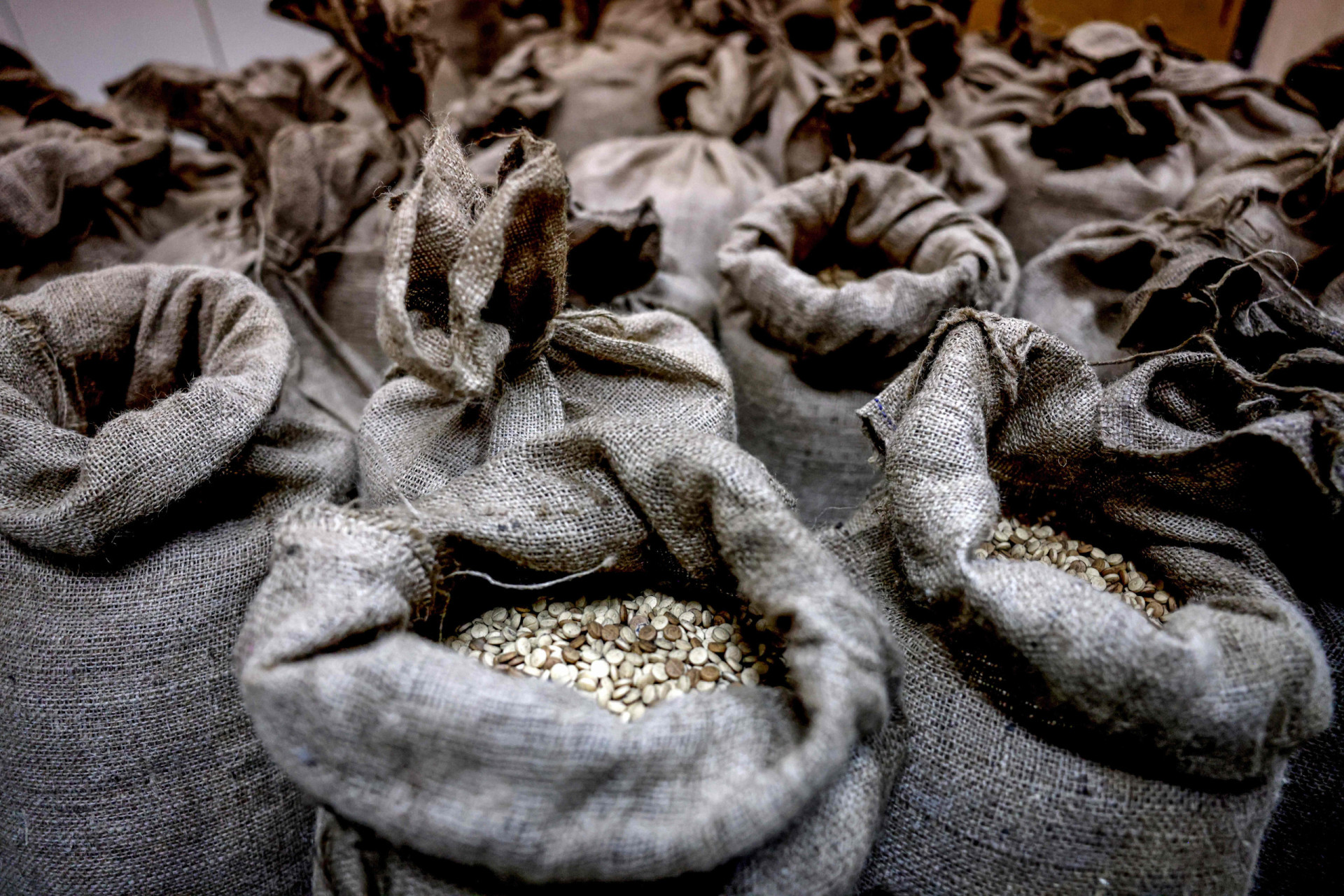 Le Captagon expliqué : la drogue hautement addictive liée à la Syrie