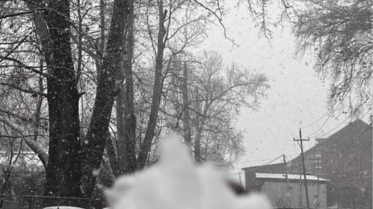 Coldwave Conditions Intensify Across Kashmir, Swathes of UP Experience ...