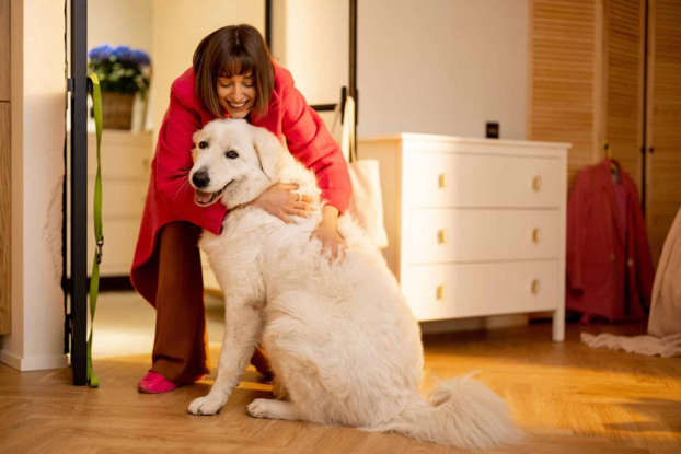 Top 9 Ways Dogs Prove They’ll Always Be by Your Side Top 9 Ways Dogs Prove They’ll Always Be by Your Side